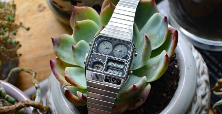 Citizen Ana-Digi Temp: The Weird and the Wonderful | Two Broke Watch Snobs