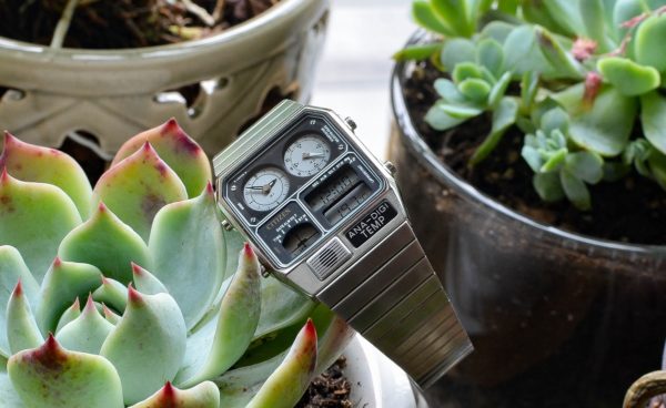 Citizen Ana-Digi Temp: The Weird and the Wonderful | Two Broke Watch Snobs