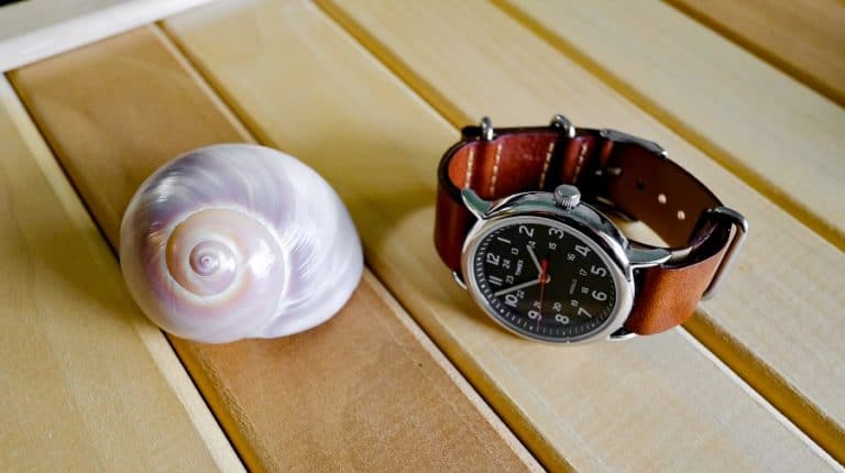 Timex Weekender Review (38mm): All You Need To Know...