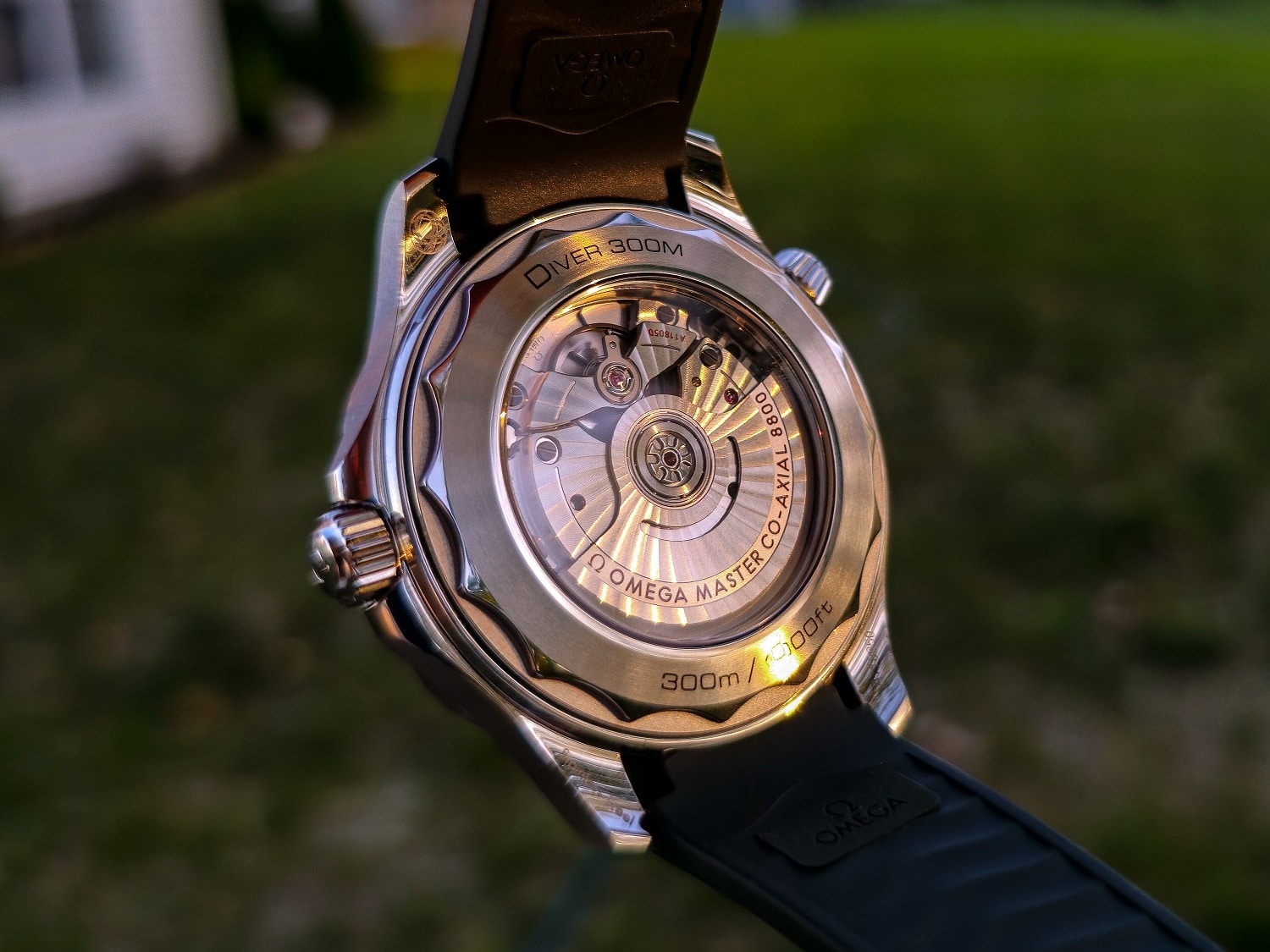 Omega Seamaster Diver 300M | Is It The Perfect Luxury Dive Watch?