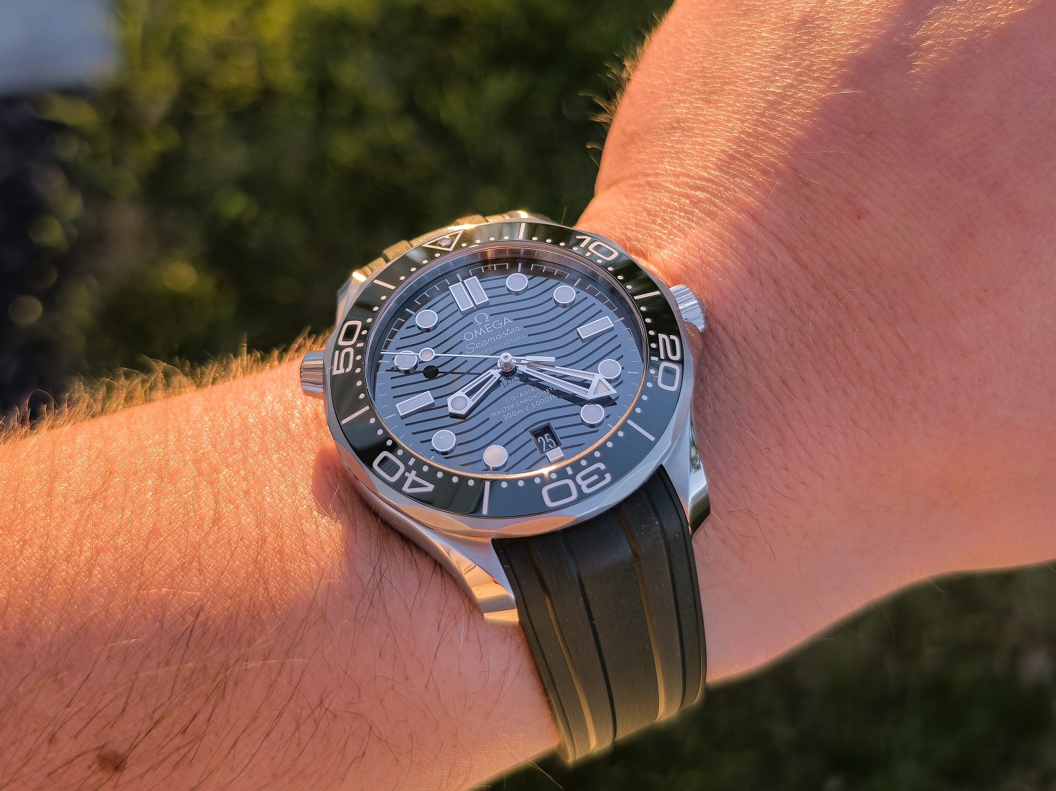 Tudor Black Bay vs Omega Seamaster: Years Of Testing, One Clear Winner
