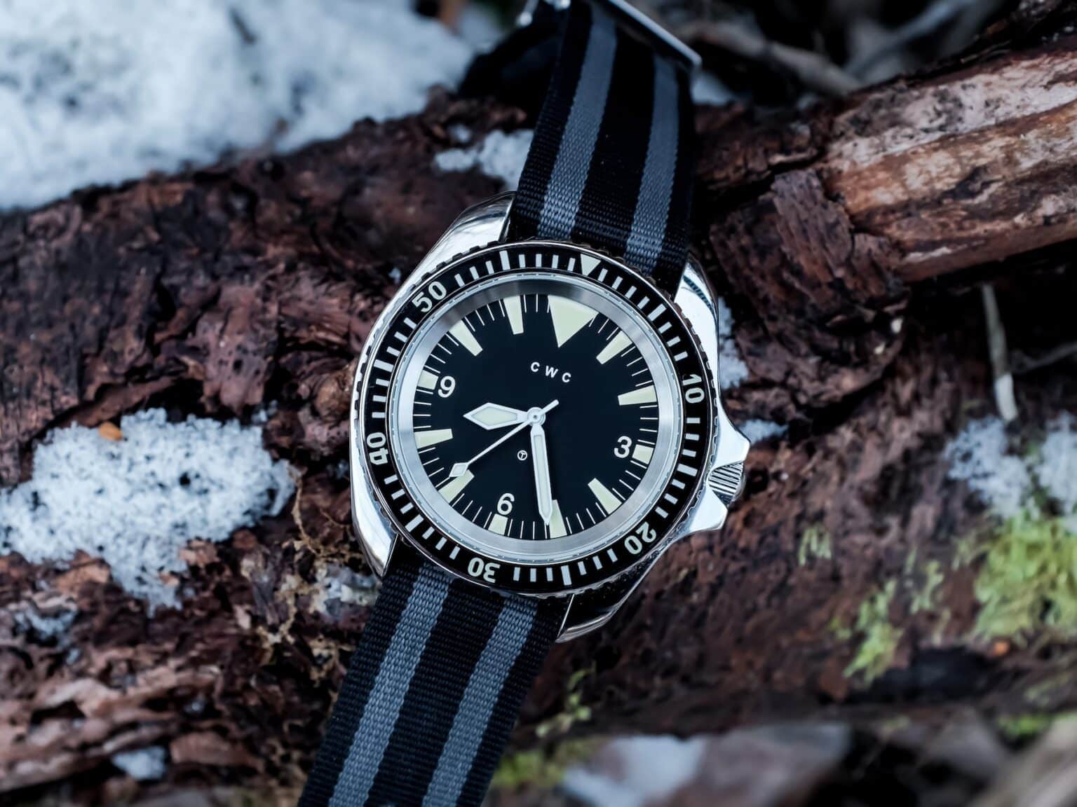 CWC 1980 Royal Navy Diver: How Close Is It To The Original?