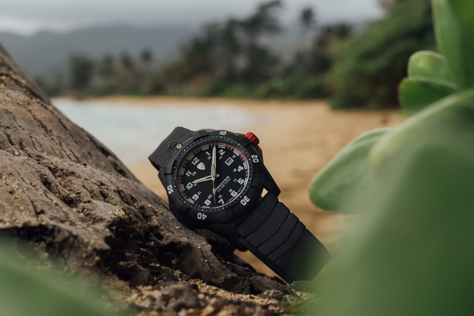 ProTek Watches: Designed to Perform and Built for Life's Challenges | Two Broke Watch Snobs