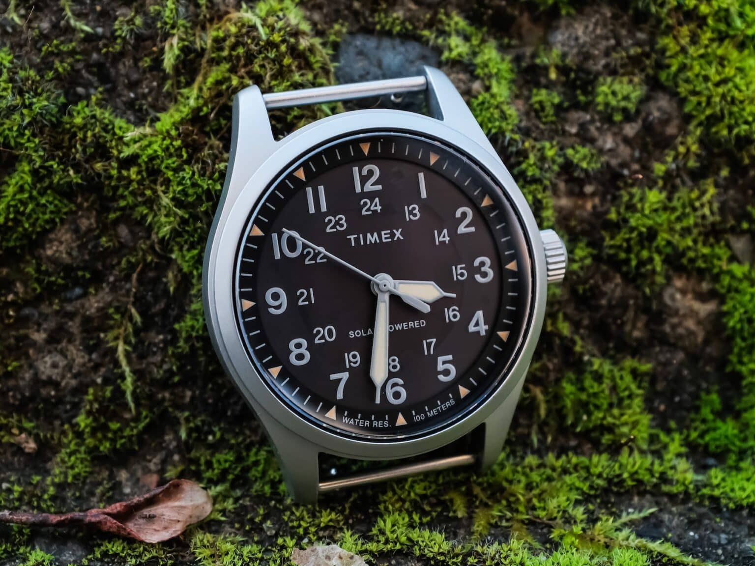 The Affordable Field Watch We All Needed: Timex Expedition Field Post ...