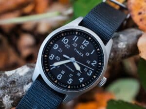 The Affordable Field Watch We All Needed: Timex Expedition Field Post ...