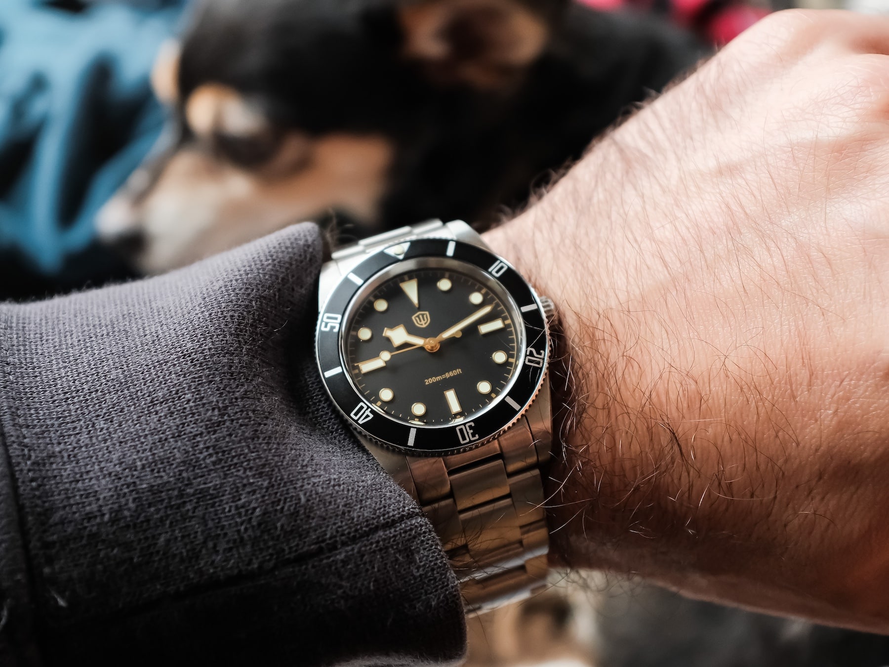 Watchdives WD7922 Review: Can This Affordable Dive Watch Compete with ...